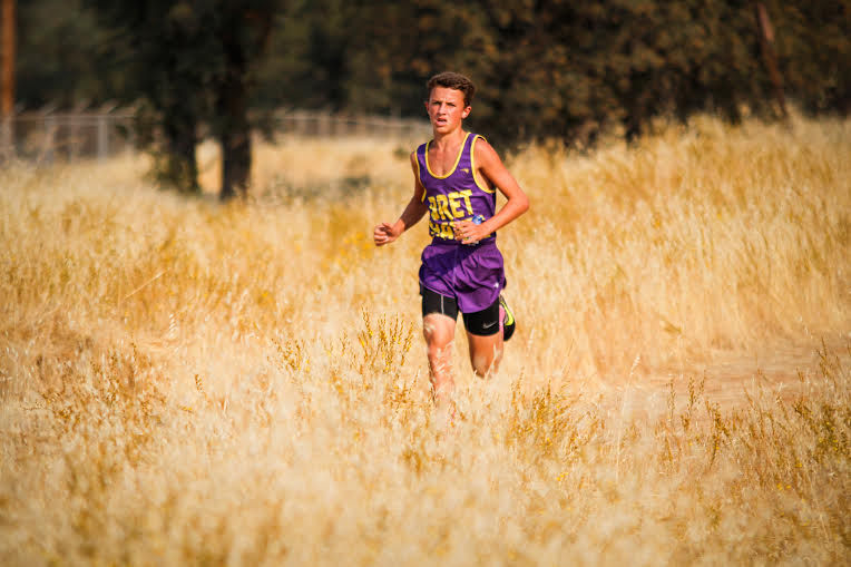 Bret Harte High School names Miler Connor Landis Student-Athlete of the ...
